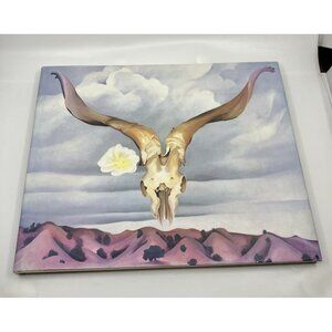 Storage & Organization | Georgia Okeeffe In The West Culmination Of ...